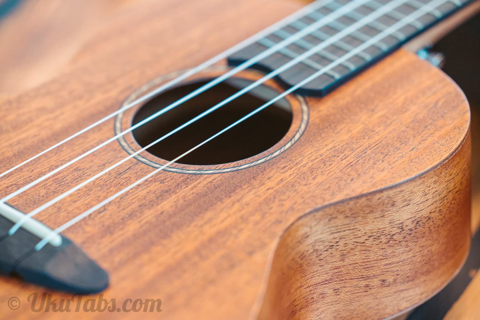 Donner DUT-1 Tenor Mahoni Ukulele Starter Bundle Review • UkuTabs
