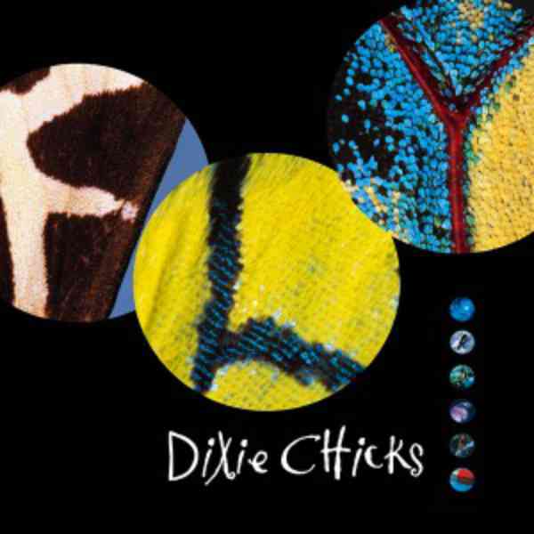 "WITHOUT YOU (THE DIXIE CHICKS)" Ukulele Tabs by The Chicks on UkuTabs