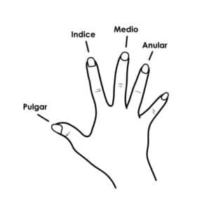 Ukulele Fingerpicking Guide: Patterns, Techniques & Tips • UkuTabs