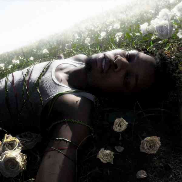 "WHERE'D IT GO WRONG?" Ukulele Tabs von d4vd auf UkuTabs