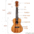 How to Teach Kids Ukulele: A Step-by-Step Method from UkuTabs • UkuTabs
